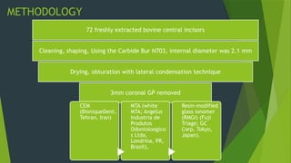 effect of different intra orifice barriers and bleaching agents on the ...