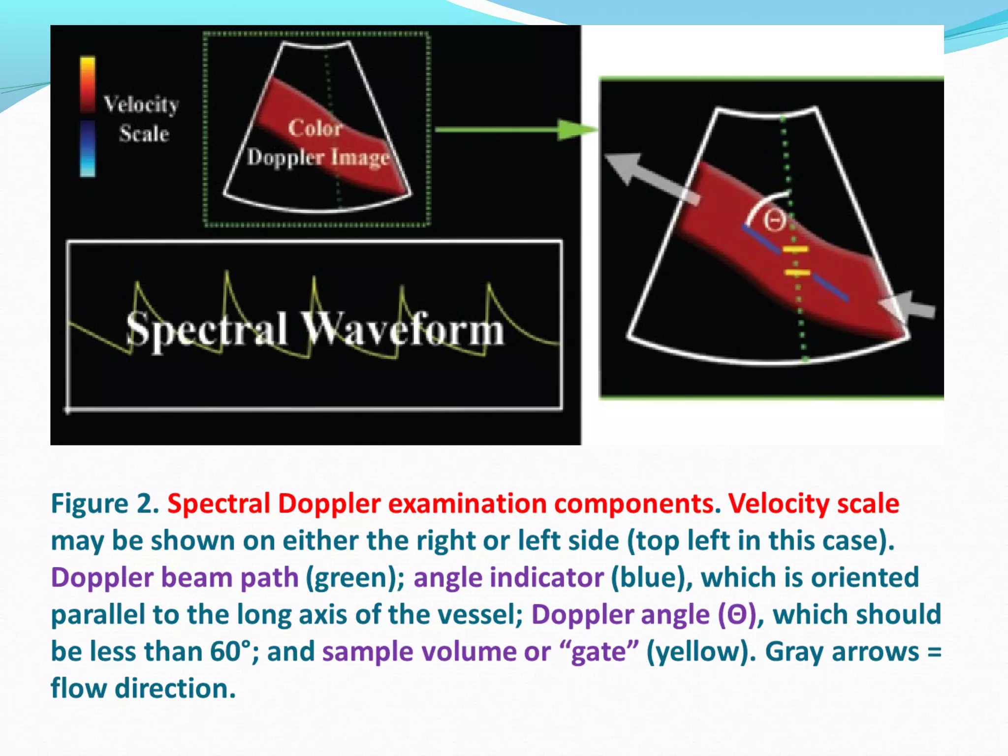 Doppler Hemodynamics with hepatic doppler | PPT