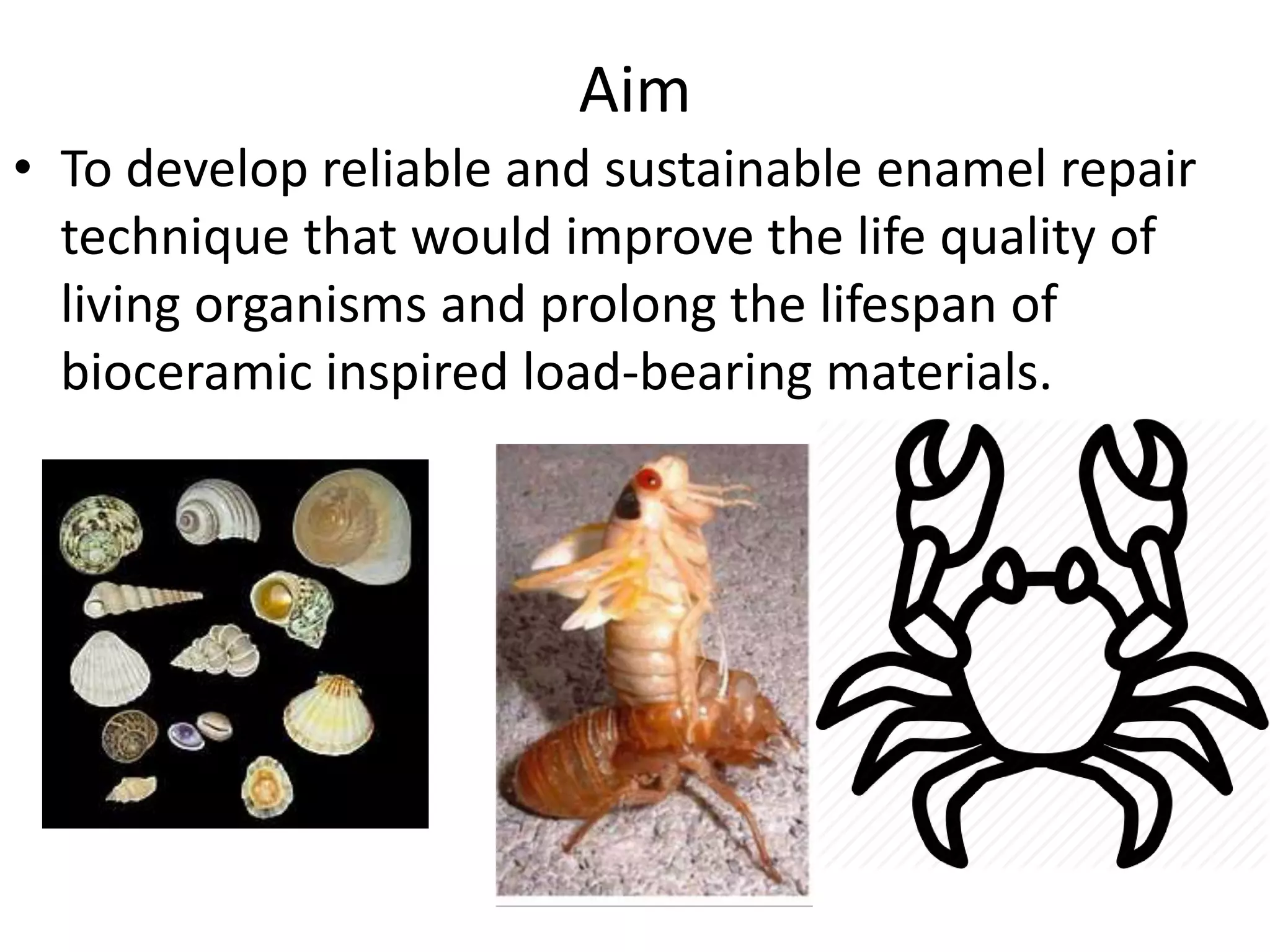 Article presentation: enamel repair with amorphous ceramics | PPT