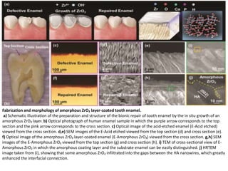 Article presentation: enamel repair with amorphous ceramics | PPTX