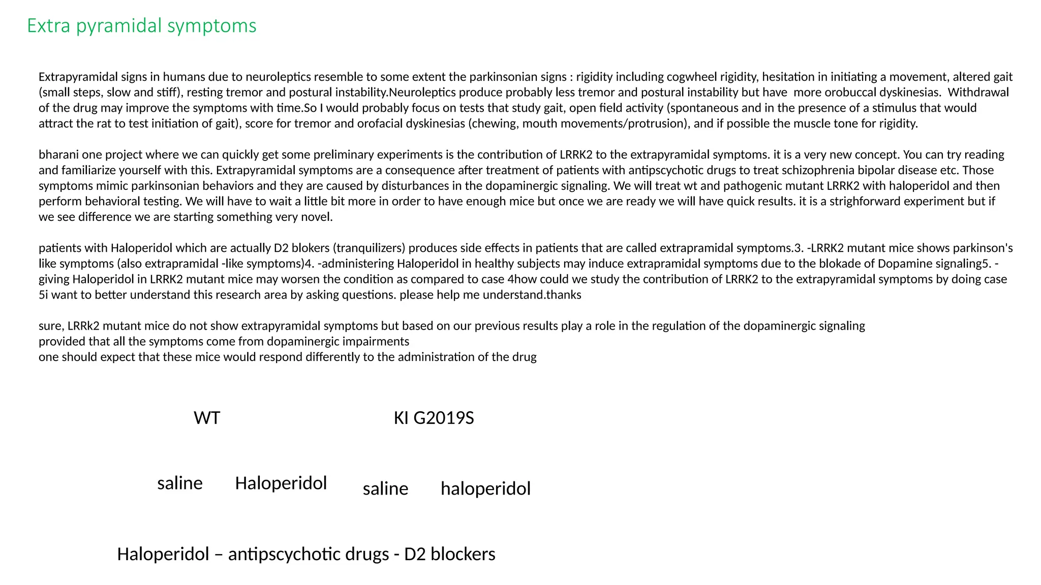 Studying synapse structure and function. Synaptic structure and morphology | PPT