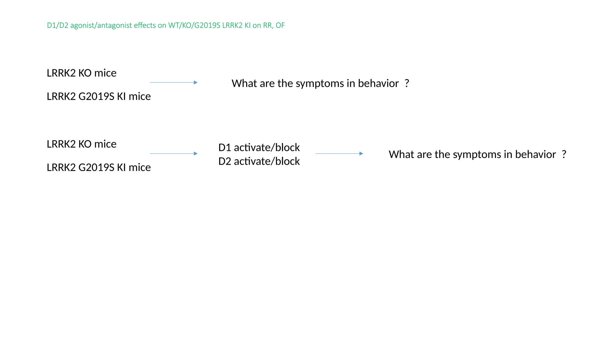 Studying synapse structure and function. Synaptic structure and morphology | PPT