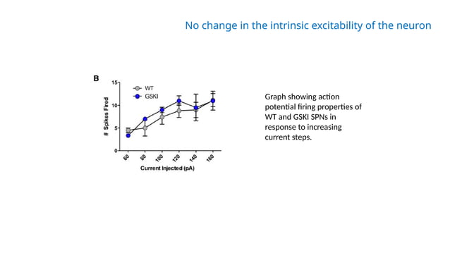 Studying synapse structure and function. Synaptic structure and morphology | PPT