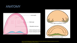 Soft palate relations with junction of soft and hard palate | PPTX