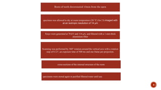 Micro-computed tomographic assessment of dentinal microcrack formation ...