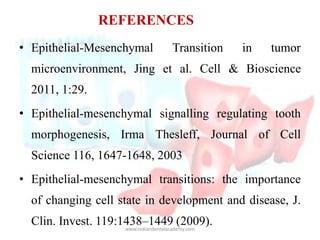 Epithelial Mesenchymal Transition Ppt