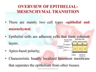 Epithelial Mesenchymal Transition Ppt