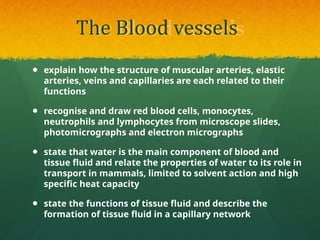 JC1 TRANSPORT IN MAMMALS BIOLOGY A LEVEL | PPTX