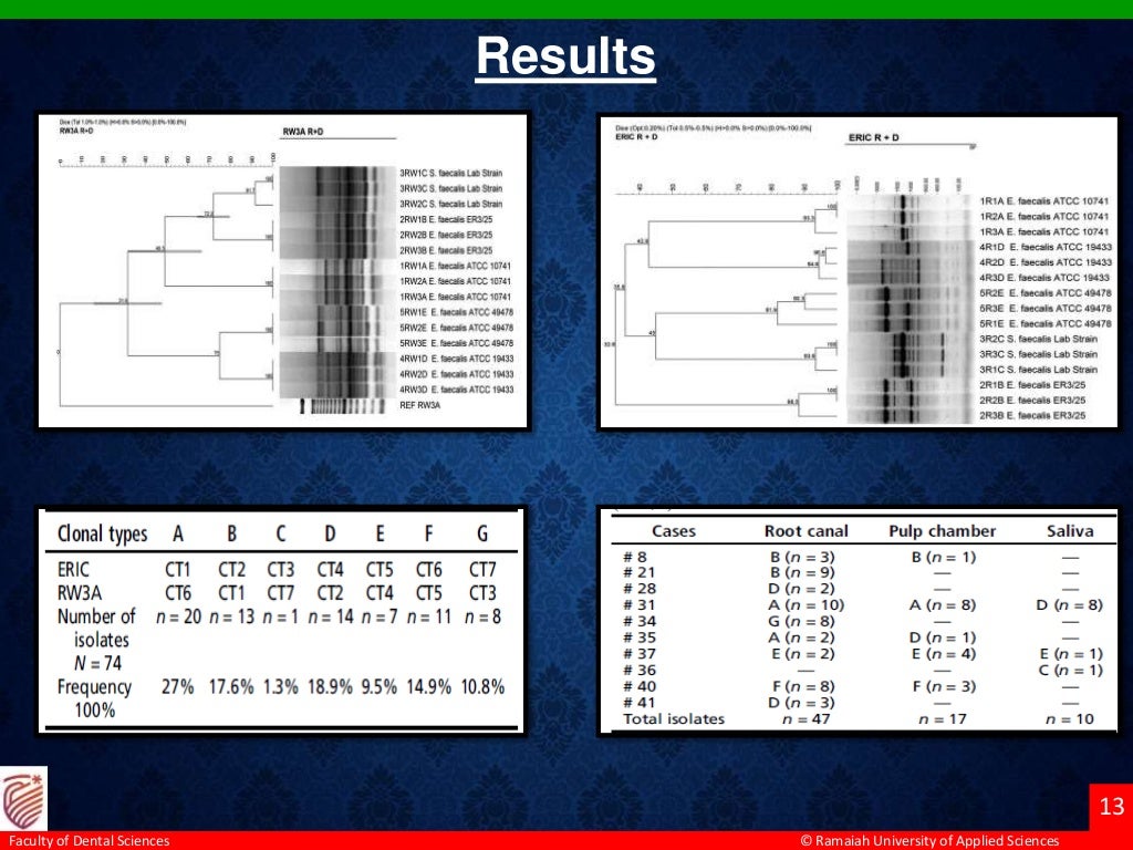 Diversity of Enterococcus Faecalis Clonal types in Endodontic Failures ...