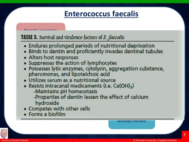 Diversity of Enterococcus Faecalis Clonal types in Endodontic Failures ...