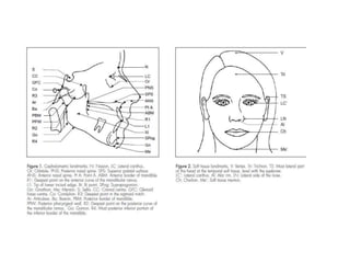 FACIAL ESTHETIC AND DEVINE PROPORTION: jc | PPTX