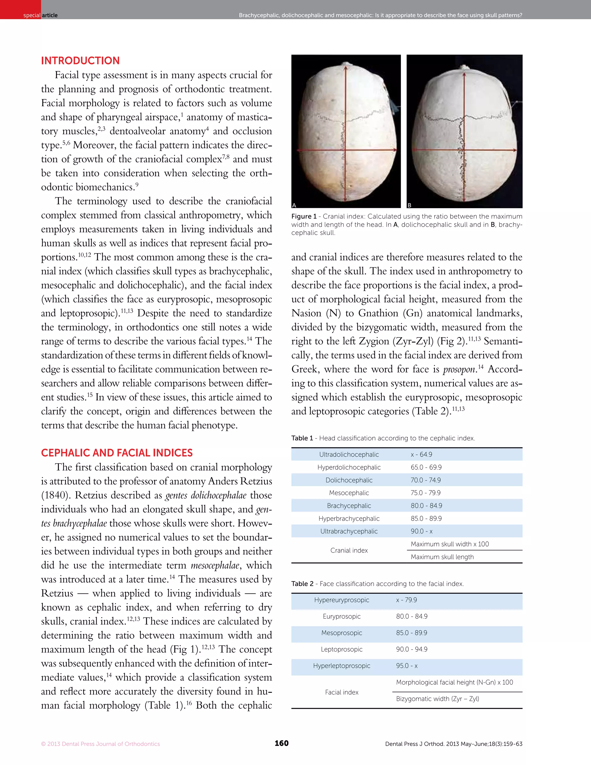 Brachycephalic, dolichocephalic and mesocephalic | PDF