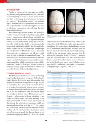 Brachycephalic, dolichocephalic and mesocephalic | PDF