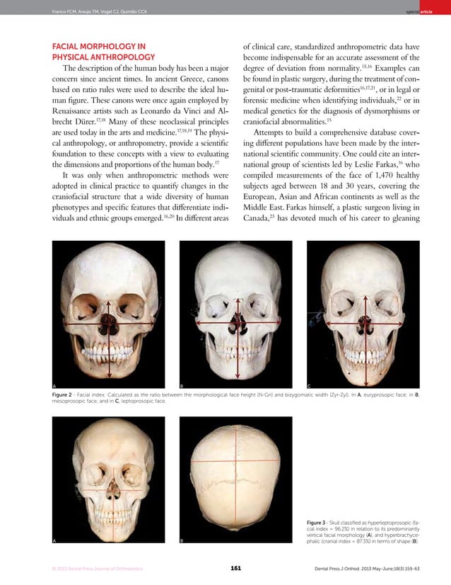 Brachycephalic, dolichocephalic and mesocephalic | PDF
