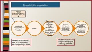 oral field cancerization - Dr Sanjana Ravindra | PPTX