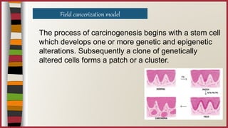 oral field cancerization - Dr Sanjana Ravindra | PPTX