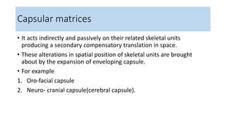 The Primary role of functional matrices in facial growth- Moss ...