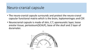 The Primary role of functional matrices in facial growth- Moss ...