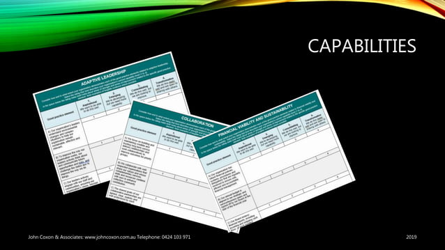 'Building Blocks' assessing capacity & capabilities in nonprofit orgs | PPT