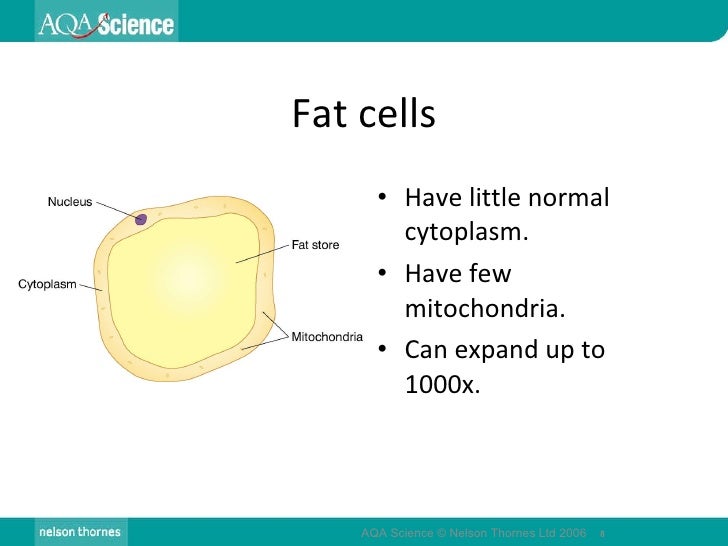 Jc Aqa Adds 006 B21 2 Prs Plantcells