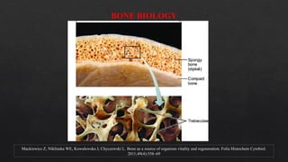 JC BONE AUMENTATION IS SO GOOD AND SO COOL | PPTX