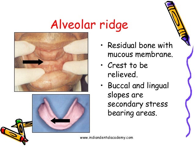 Denture border evaluation /certified fixed orthodontic courses by Ind…