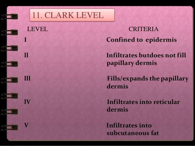 Data set for cutaneous melanoma reporting