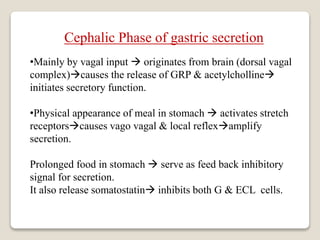 Acid secretion | PPTX