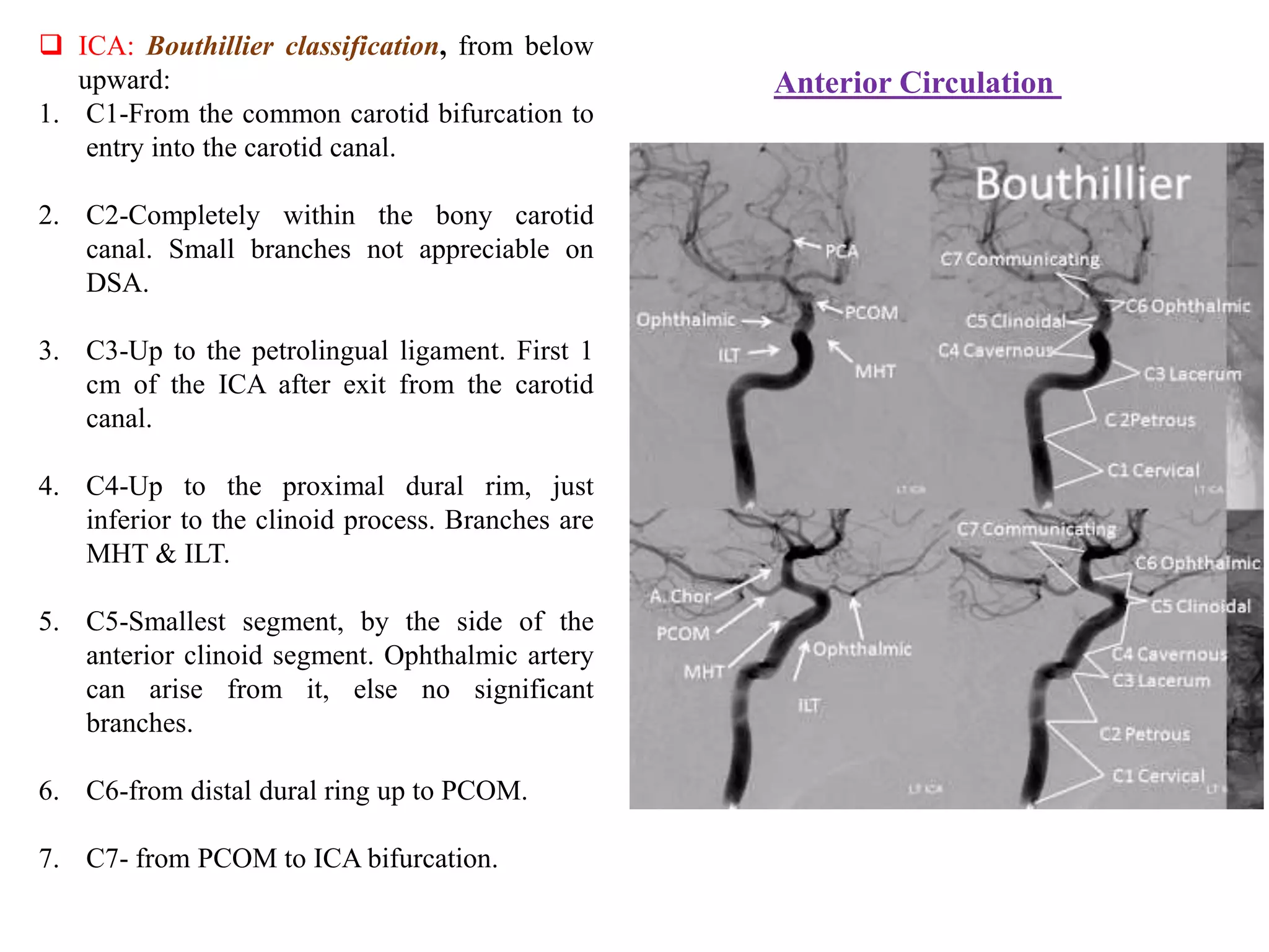 Digital Subtraction Neuroangiography: What a Resident Should Know | PPTX