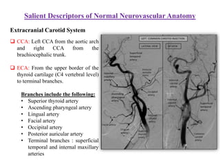 Digital Subtraction Neuroangiography: What a Resident Should Know | PPTX