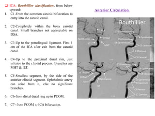 Digital Subtraction Neuroangiography: What a Resident Should Know | PPTX
