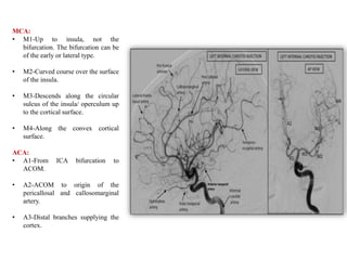 Digital Subtraction Neuroangiography: What a Resident Should Know | PPTX