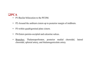 Digital Subtraction Neuroangiography: What a Resident Should Know | PPTX