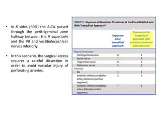 Endoscopic Endonasal Transclival Approach to the Ventral Brainstem | PPT