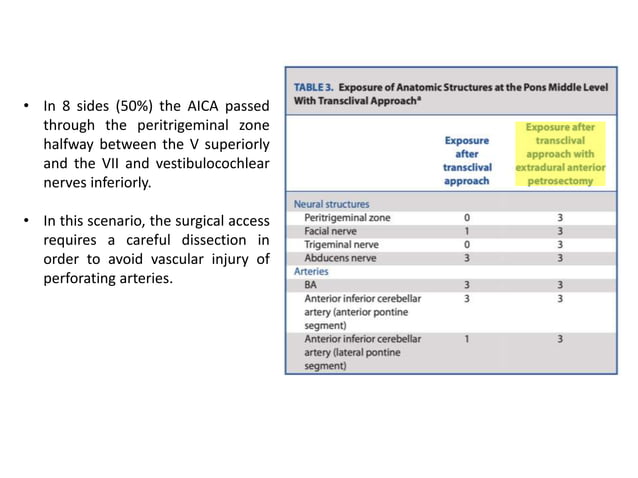 Endoscopic Endonasal Transclival Approach to the Ventral Brainstem | PPT