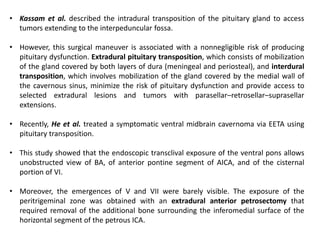 Endoscopic Endonasal Transclival Approach to the Ventral Brainstem | PPT