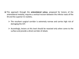 Endoscopic Endonasal Transclival Approach to the Ventral Brainstem | PPT