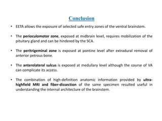 Endoscopic Endonasal Transclival Approach to the Ventral Brainstem | PPT