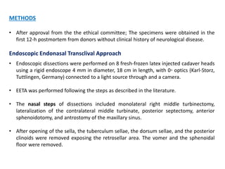 Endoscopic Endonasal Transclival Approach to the Ventral Brainstem | PPT