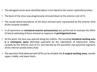 Endoscopic Endonasal Transclival Approach to the Ventral Brainstem | PPT