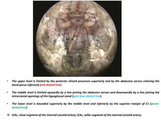 Endoscopic Endonasal Transclival Approach to the Ventral Brainstem | PPT