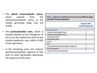 Endoscopic Endonasal Transclival Approach to the Ventral Brainstem | PPT