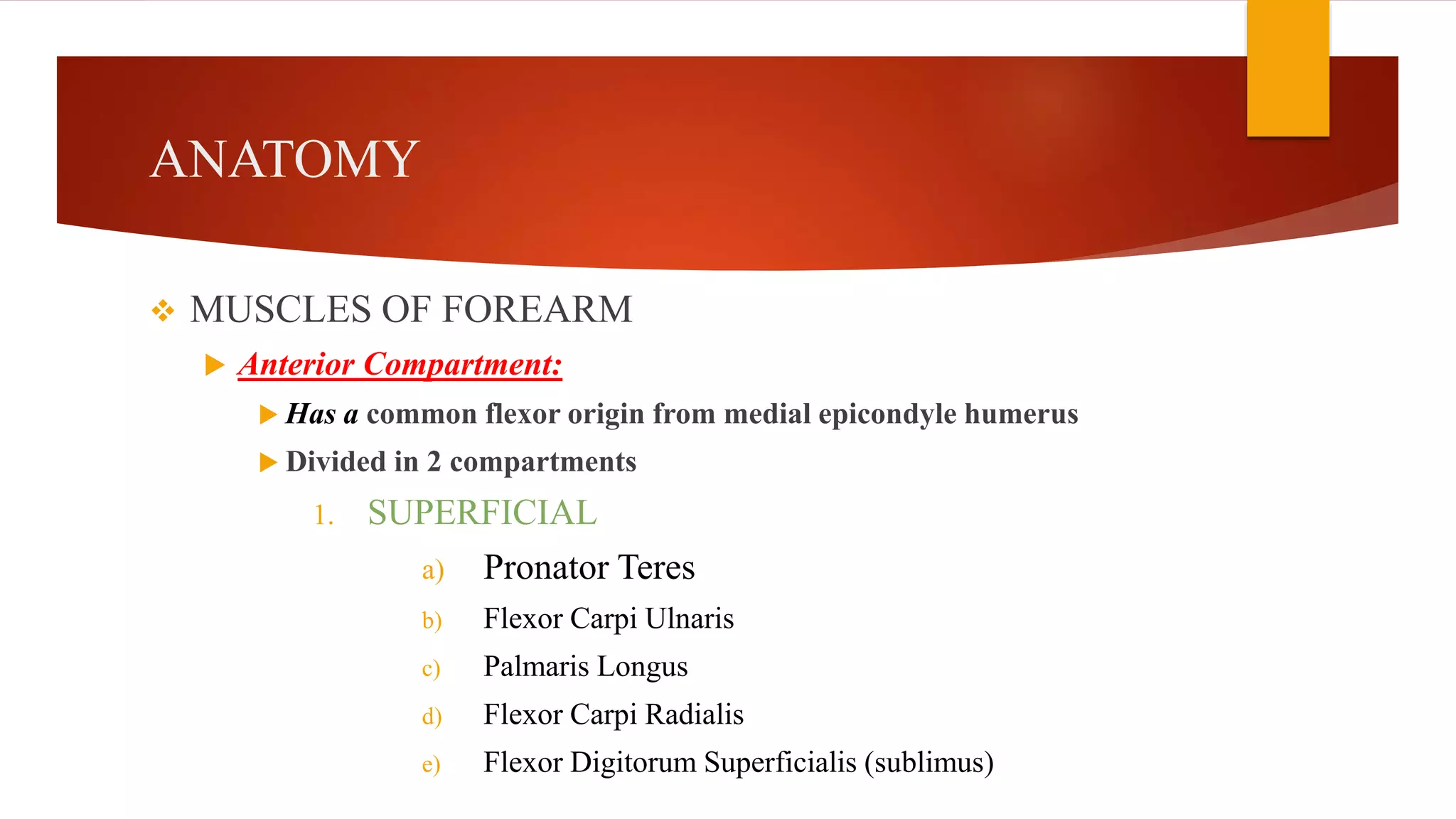 Jc flexor tendon injury, repair & rehabilitaion | PPTX