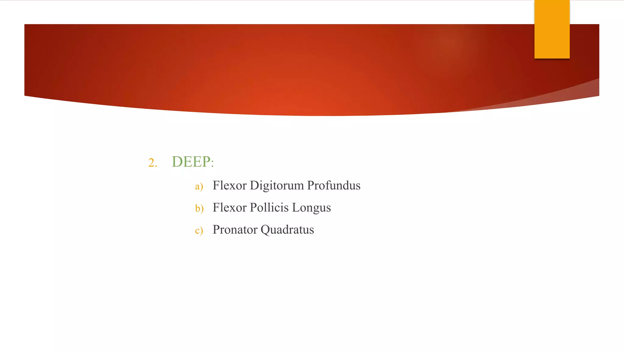 Jc flexor tendon injury, repair & rehabilitaion | PPTX