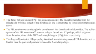 Jc flexor tendon injury, repair & rehabilitaion | PPTX