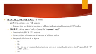 Jc flexor tendon injury, repair & rehabilitaion | PPTX