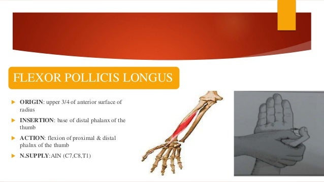 Get Epl Tendon Rupture Icd 10 PNG