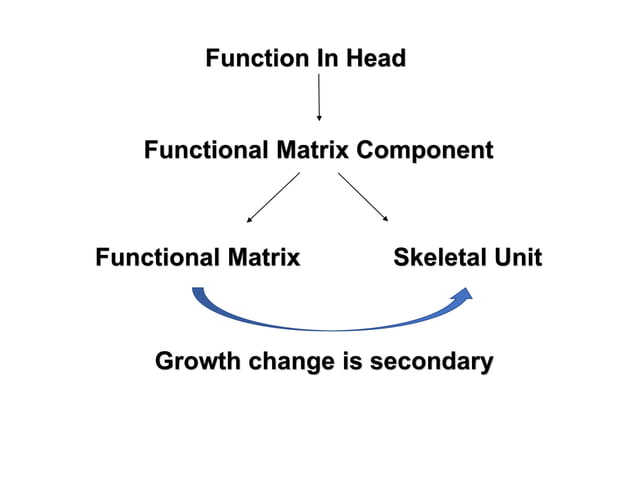 JC_FUNCTIONAL_MATRIXfinal.pptx bg | PPTX