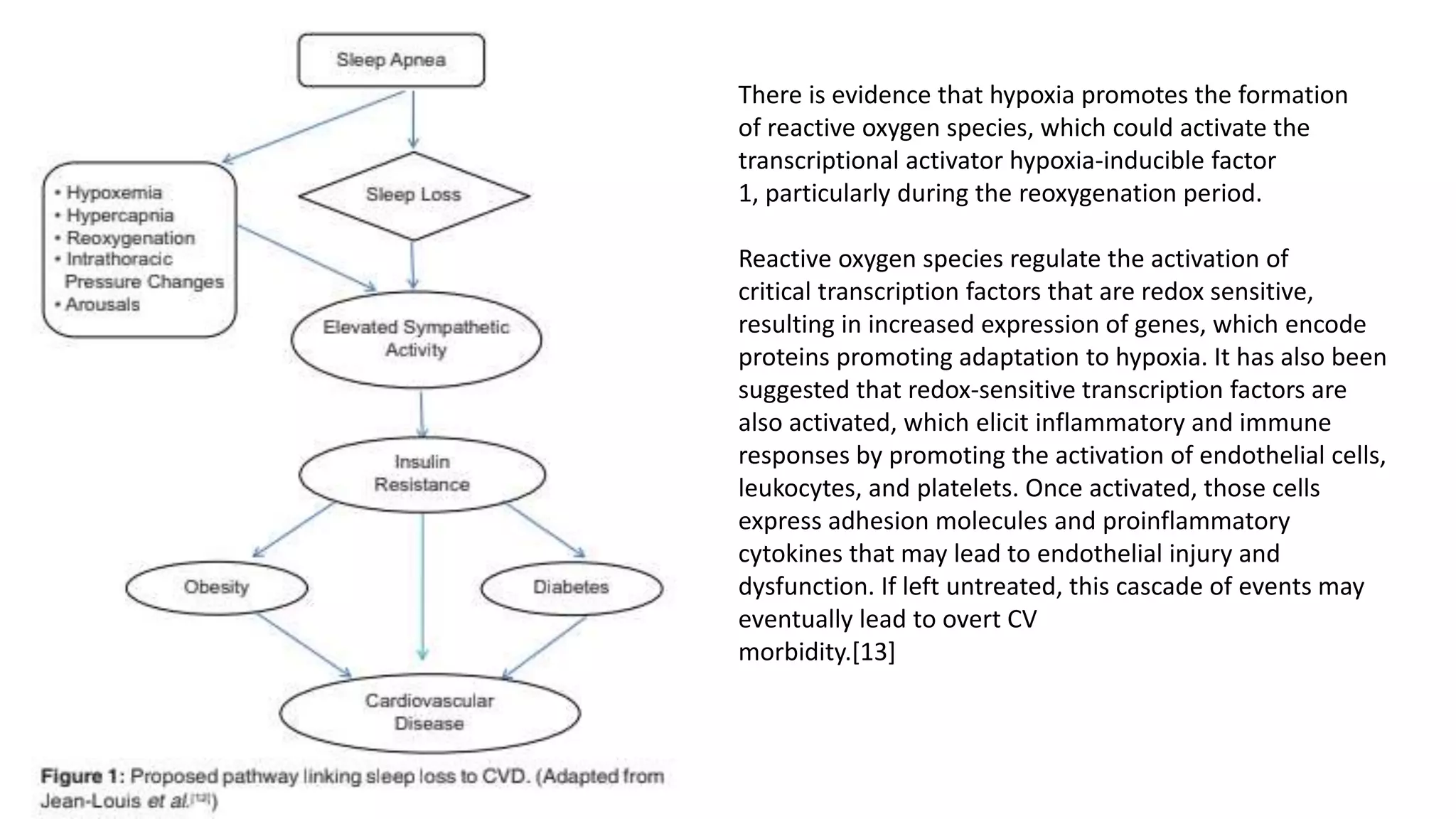 OSA VS CAD.pptx
