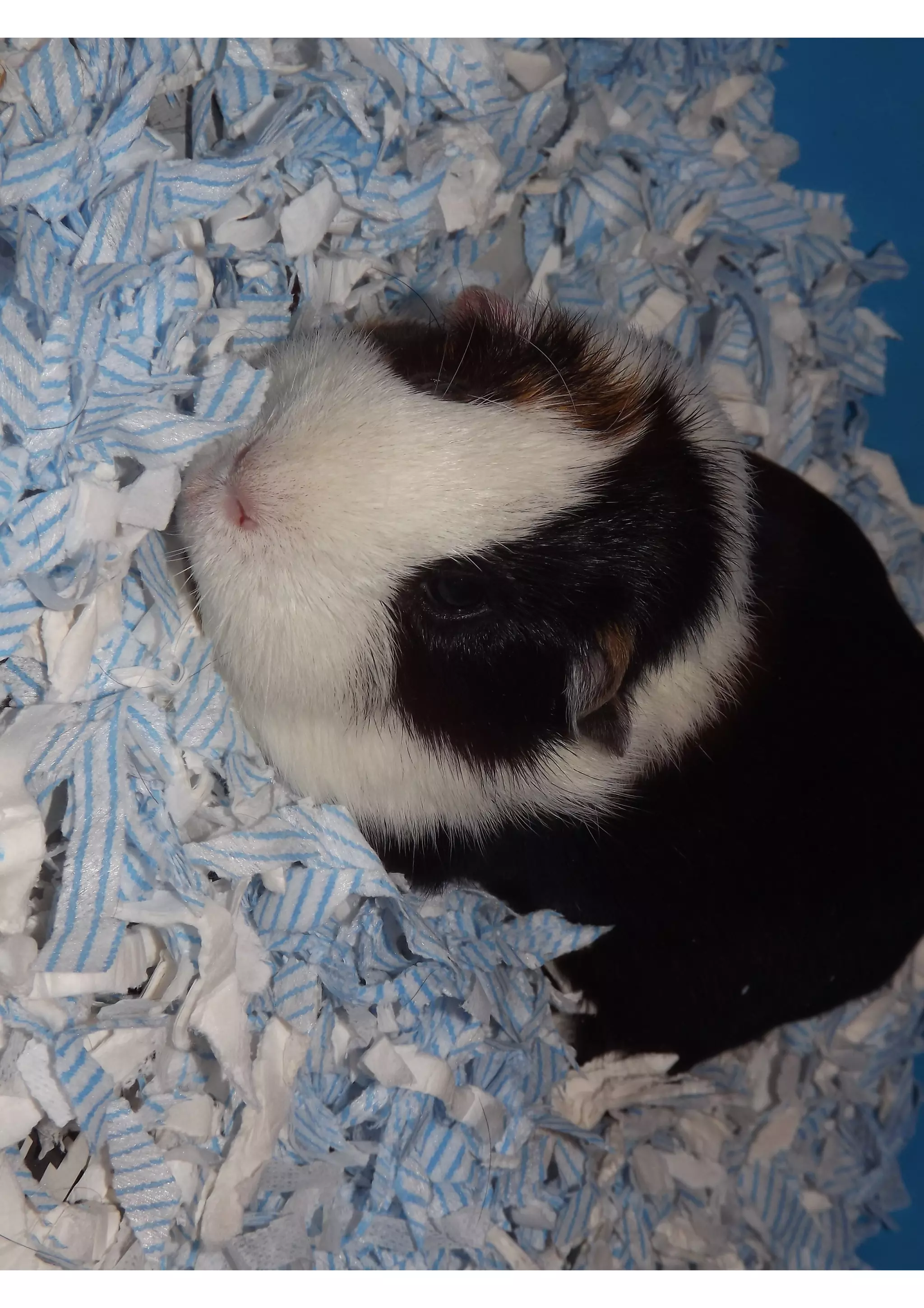 J cloth mix 2 gp | PDF